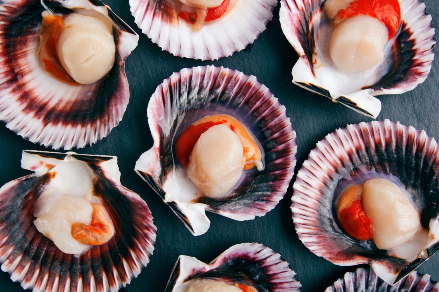 Scallop Foods: Nutritional Facts and Benefits - Tangolog
